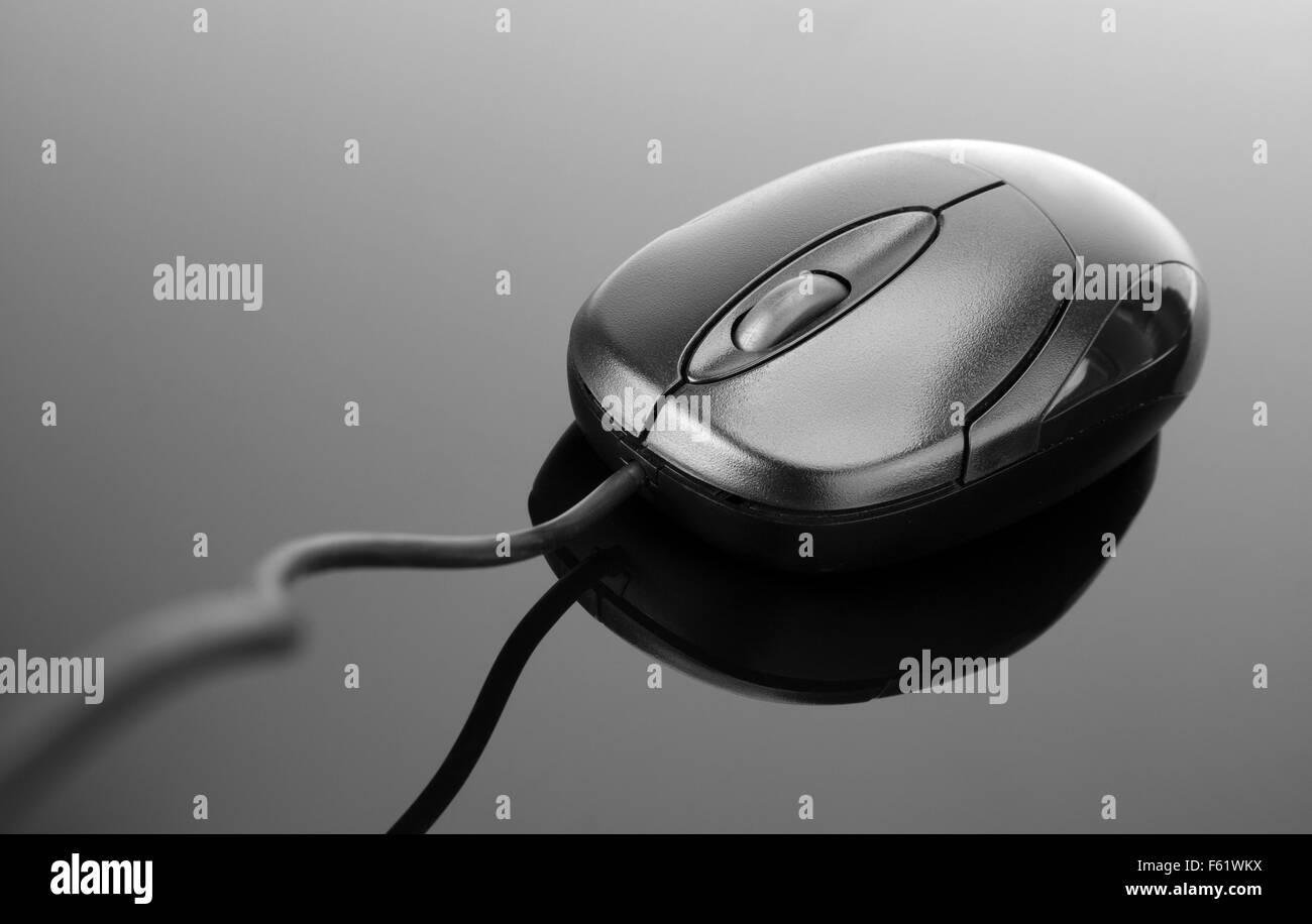 Computer mouse on reflective grey surface. In B/W Stock Photo - Alamy