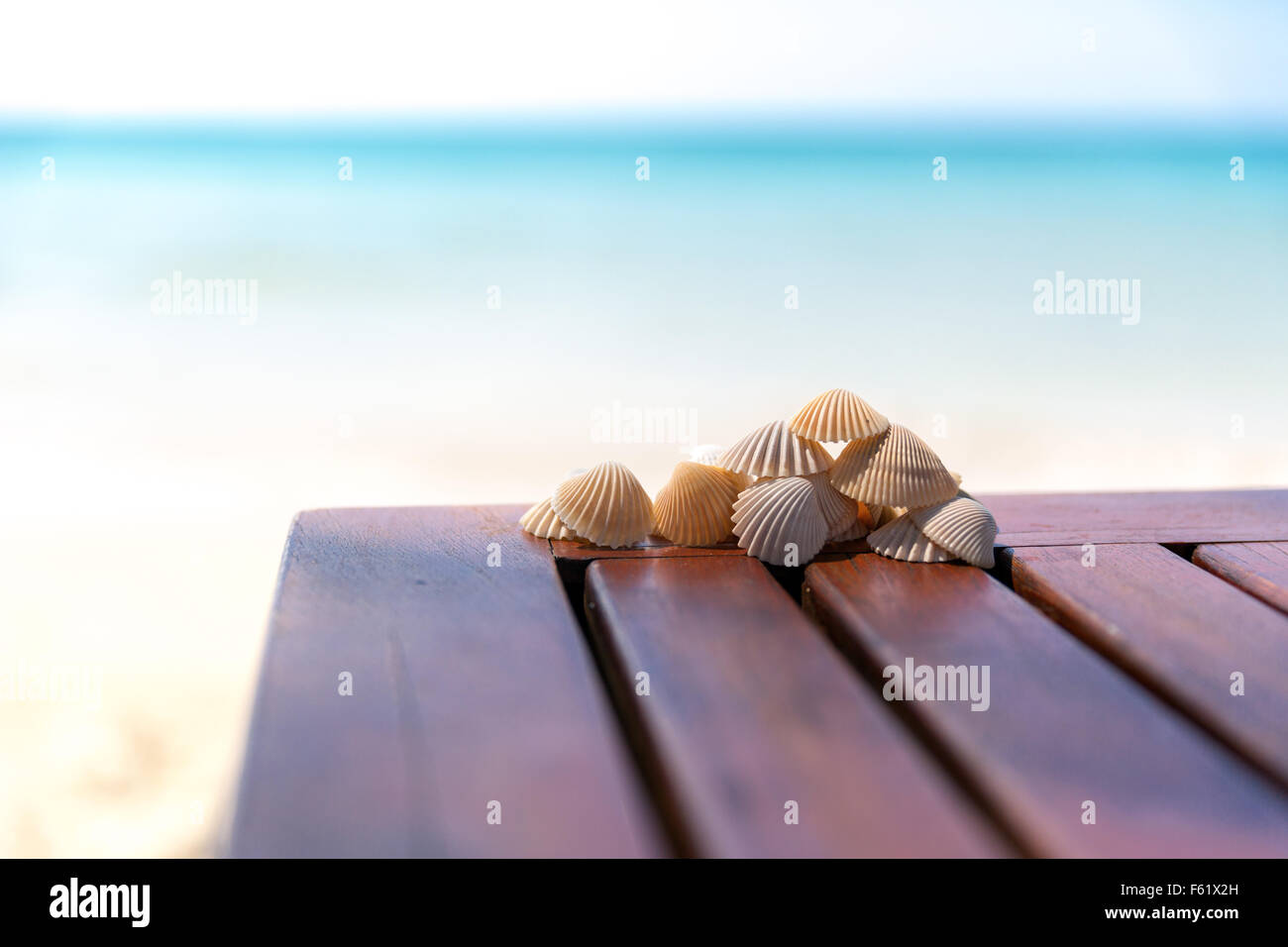 Seashells on the corners of bench Stock Photo - Alamy