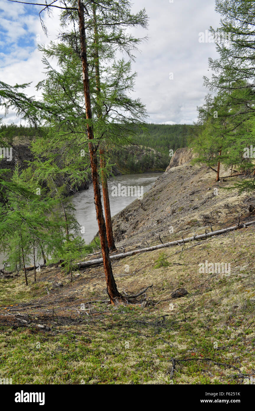 Canyon of the mountain river in Yakutia. Ridge Suntar-khayata, river ...