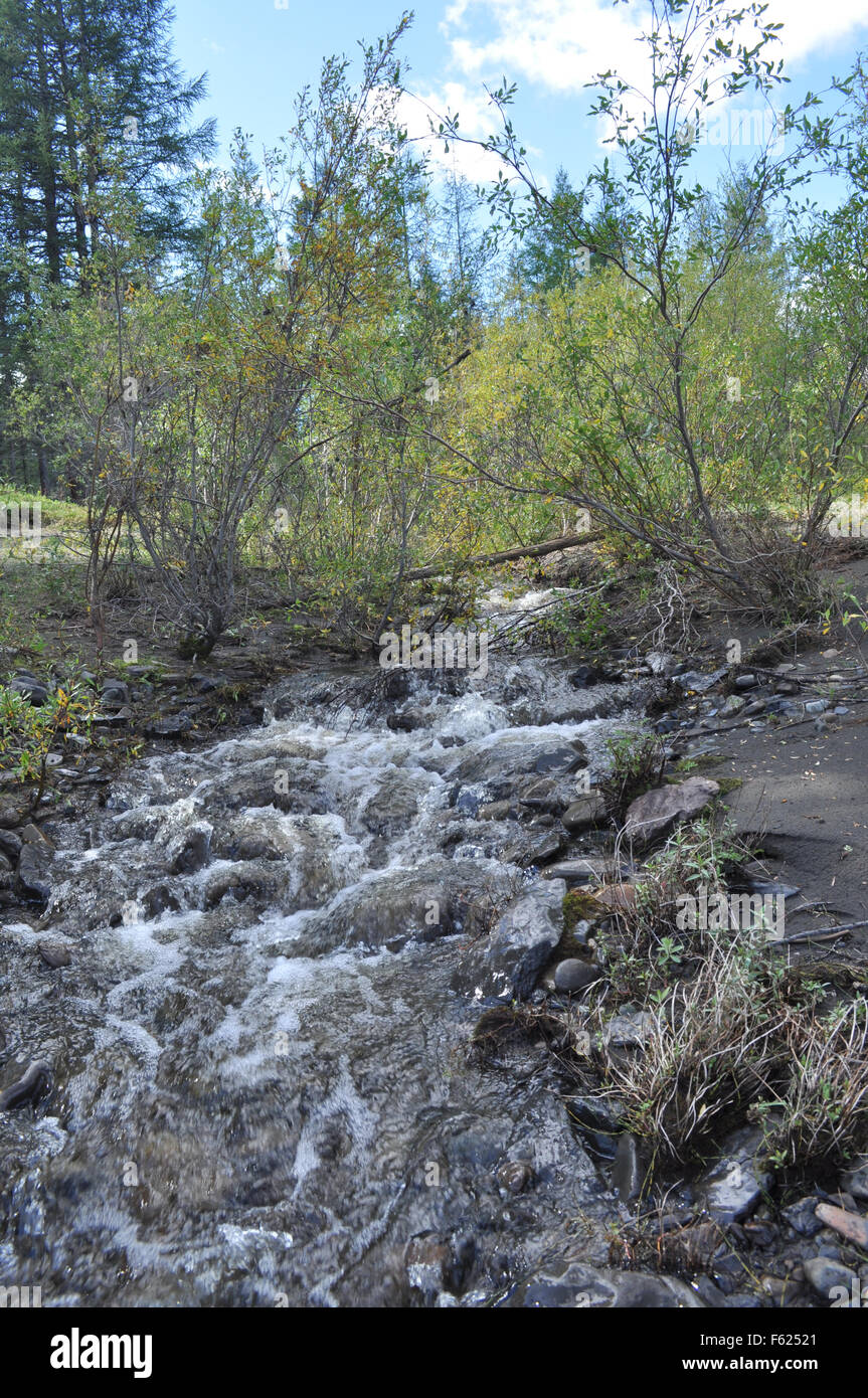 Stream, babbling over the rocks in Yakutia. Ridge Suntar-khayata, river ...