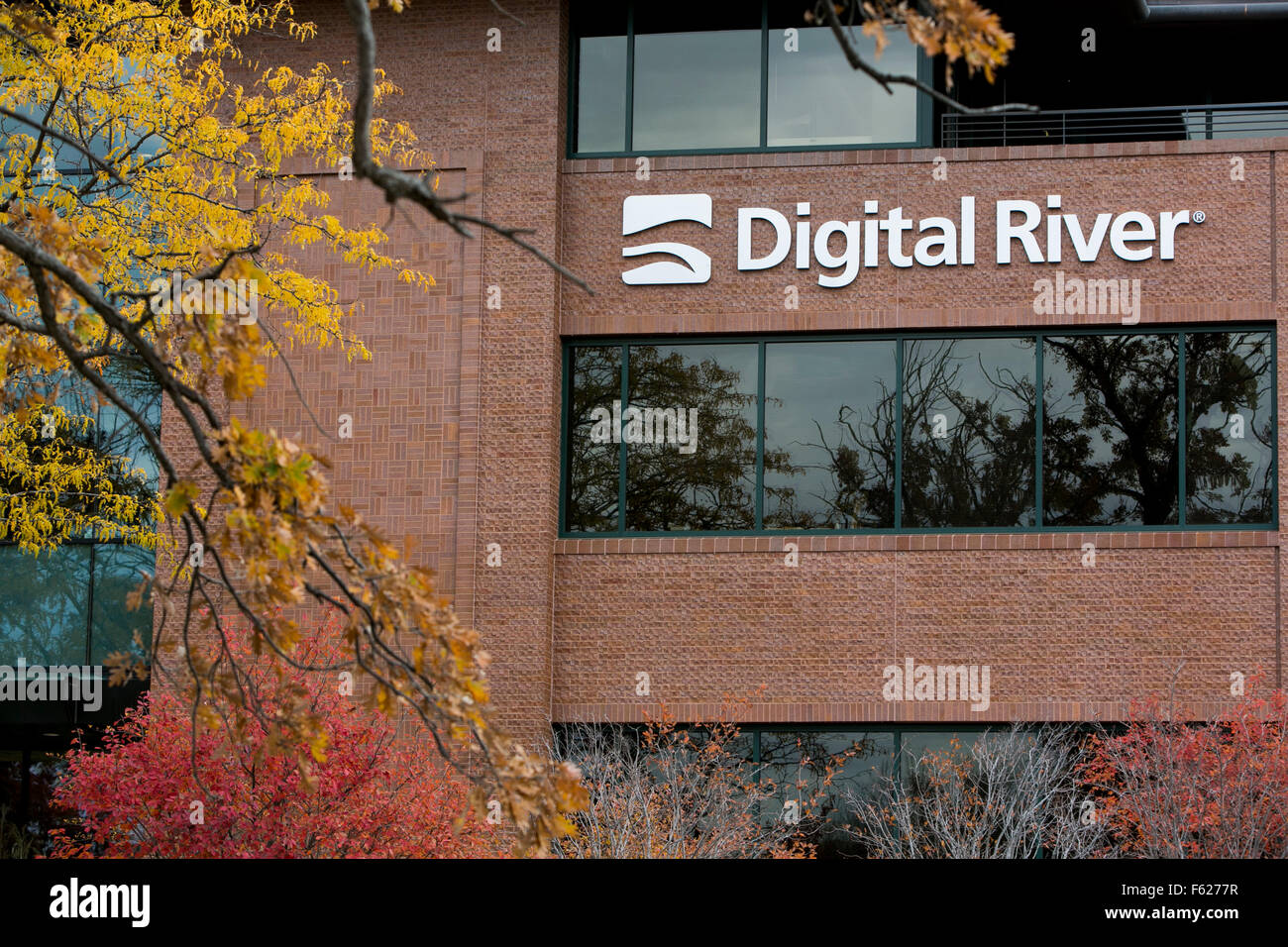 Digital River Logo