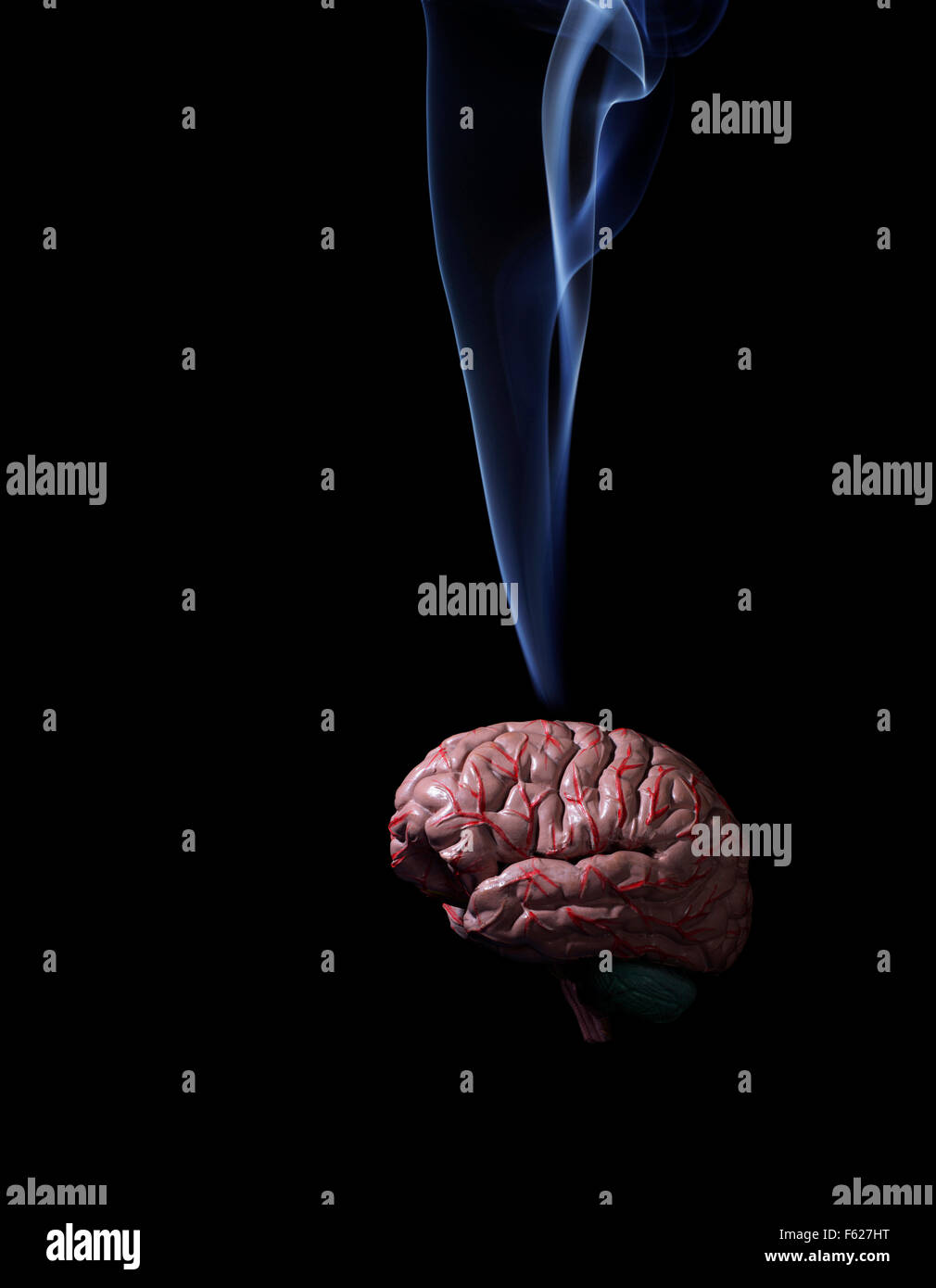 Aging brain hi-res stock photography and images - Alamy