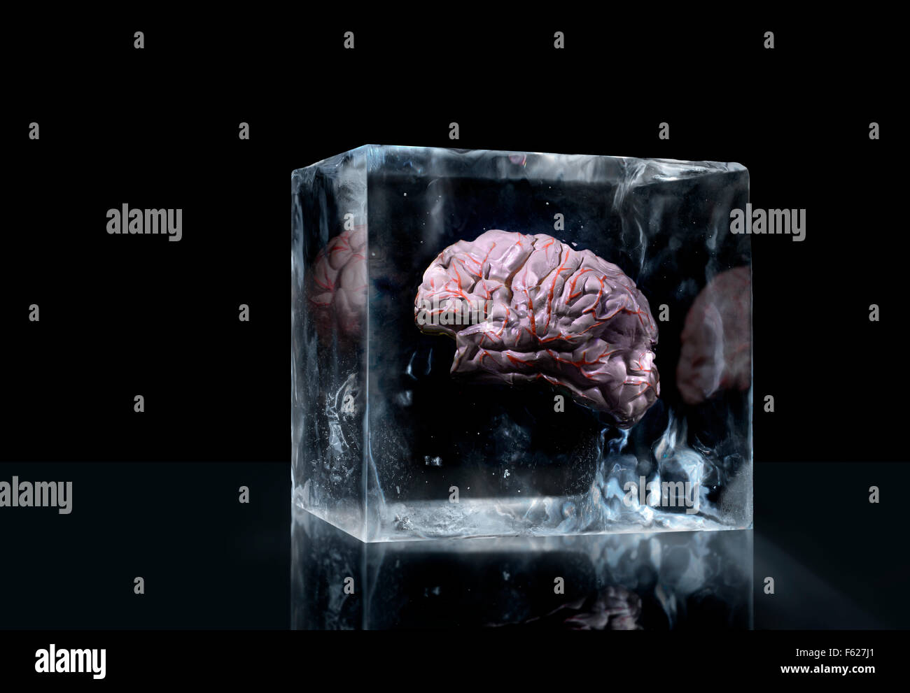 Studio shot of a model human brain frozen in Ice cube Stock Photo - Alamy