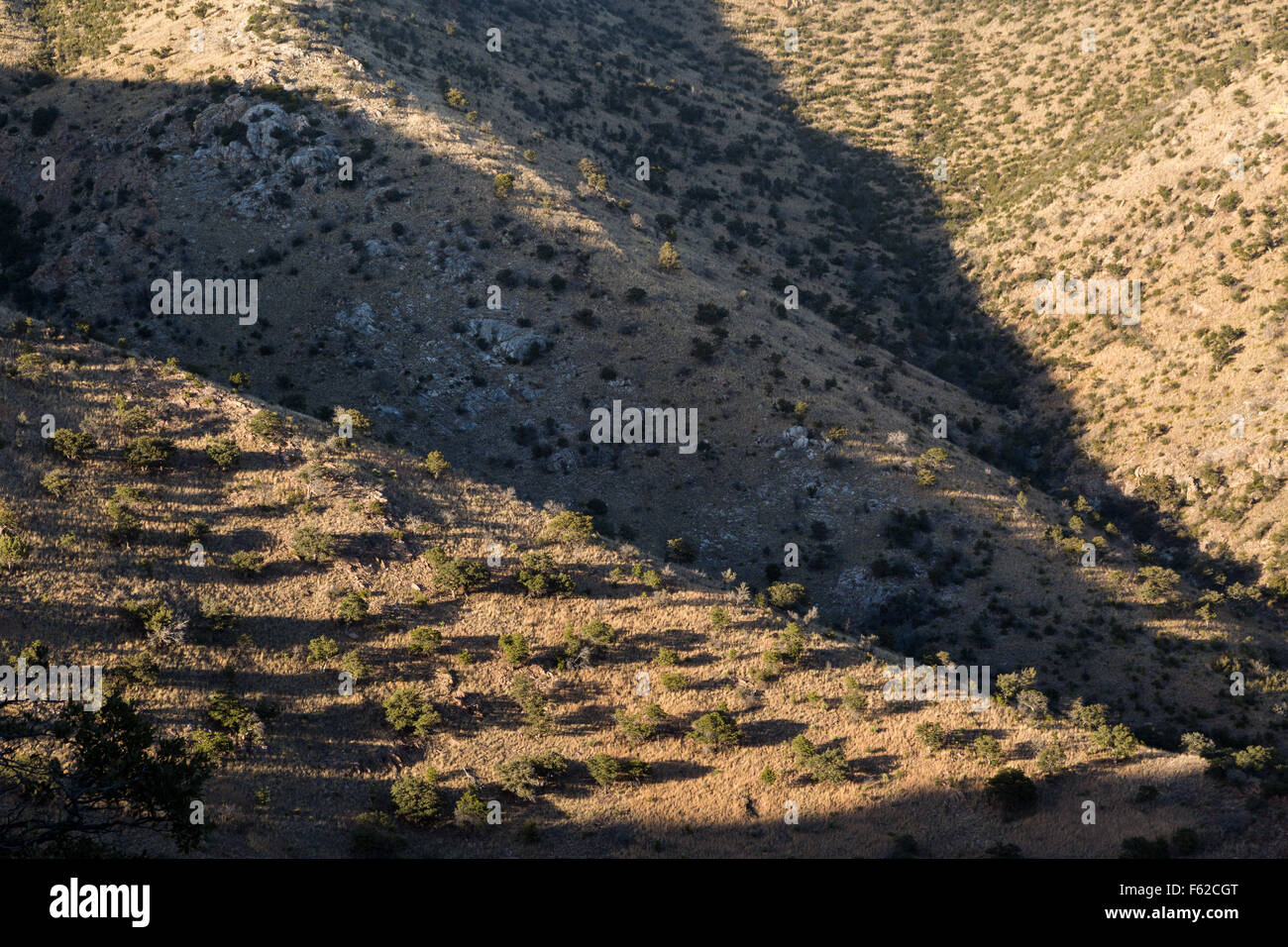 The Huachuca Mountains and foothills, Coronado National Memorial Stock ...