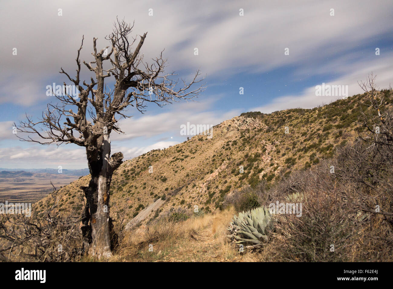 The Huachuca Mountains under a night sky, Coronado National Memorial ...