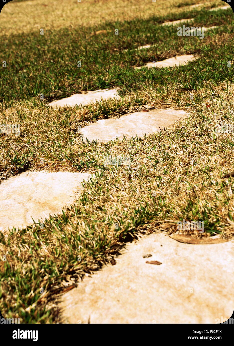 Rock stepping stones hi-res stock photography and images - Alamy