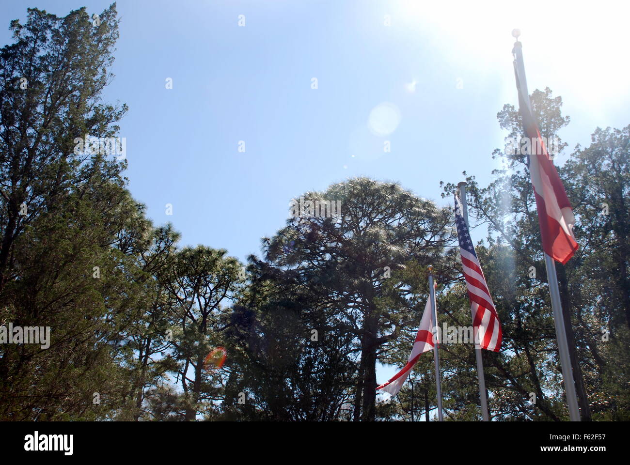 Flags and trees hi-res stock photography and images - Alamy