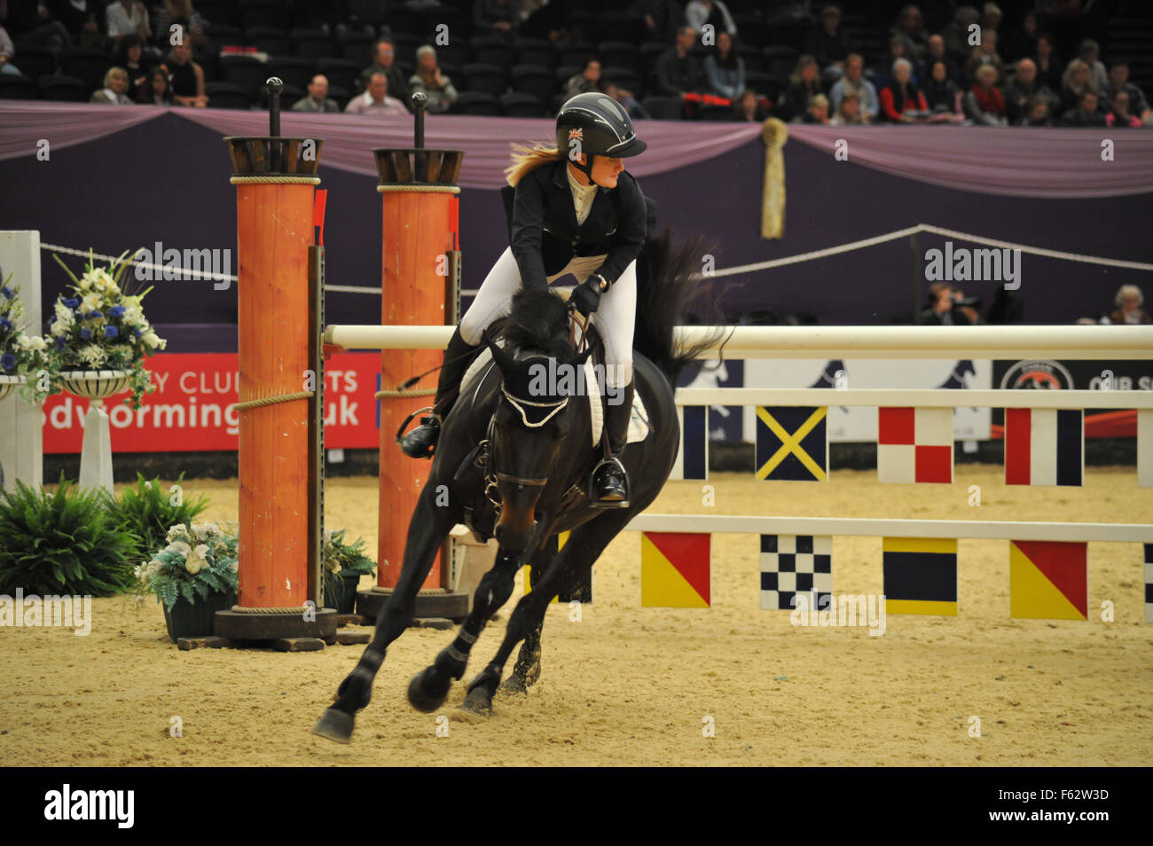 Horse of the Year Show 2015 at Birmingham's NEC Featuring: DARLING ...