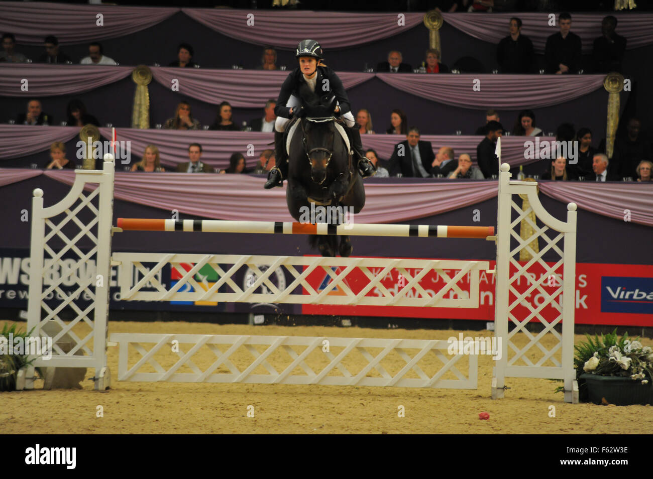 Horse of the Year Show 2015 at Birmingham's NEC Featuring: DARLING ...