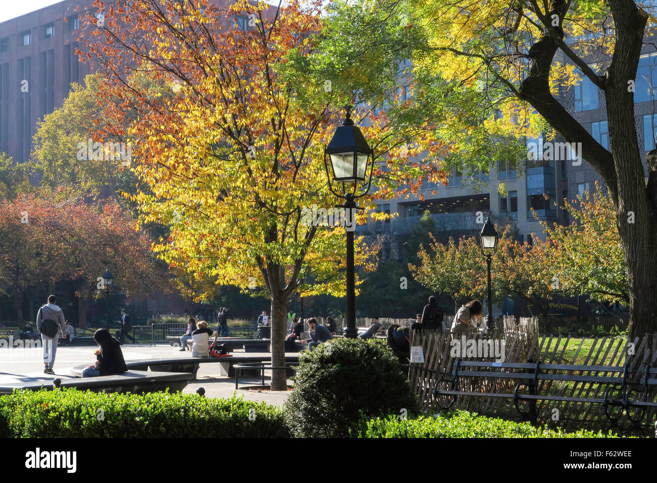 Square hedges hi-res stock photography and images - Alamy