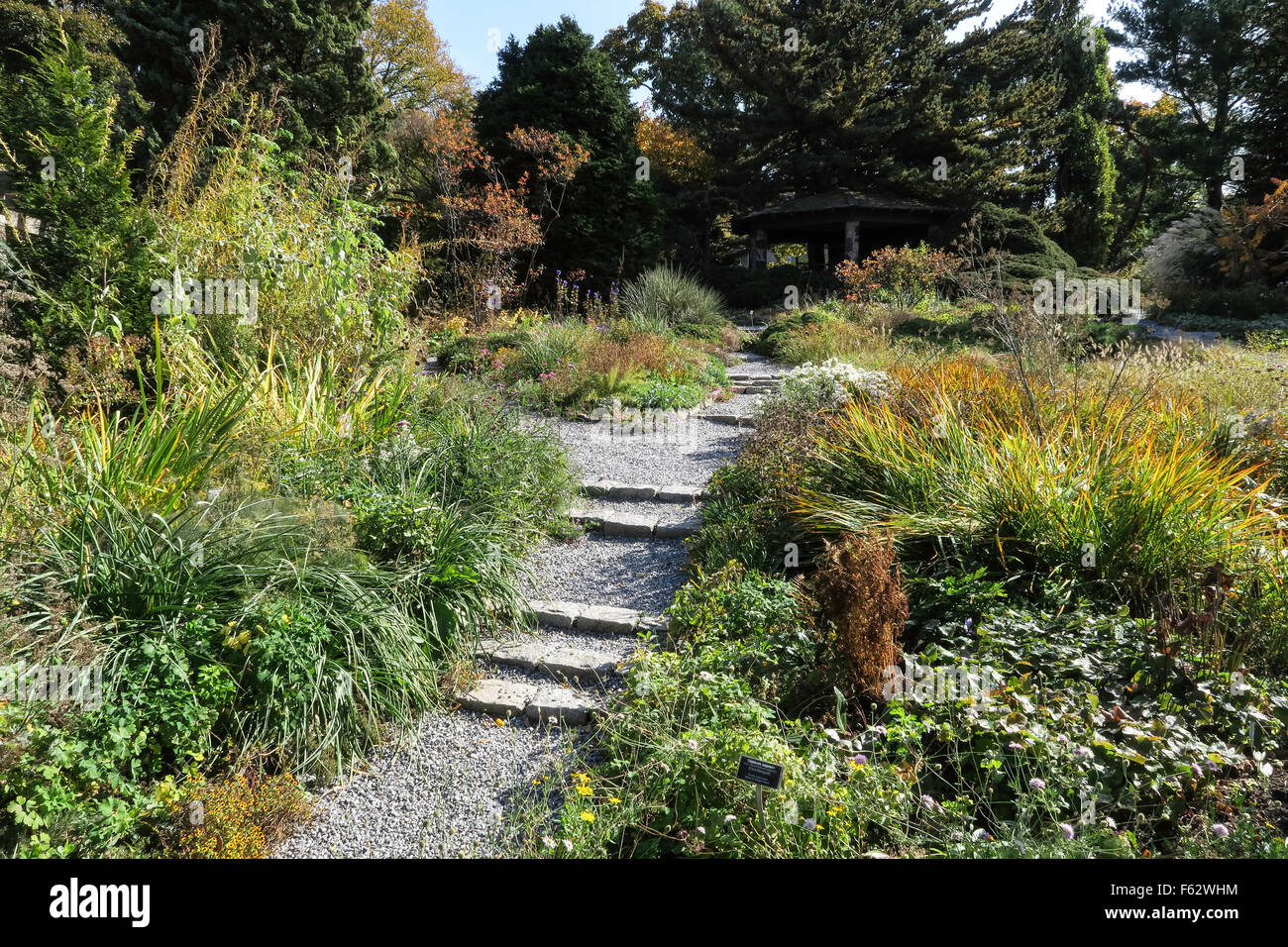 Wave Hill Public Garden in The Bronx, NYC, USA Stock Photo - Alamy