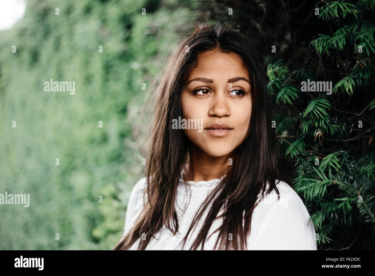 Foreground bushes hi-res stock photography and images - Alamy