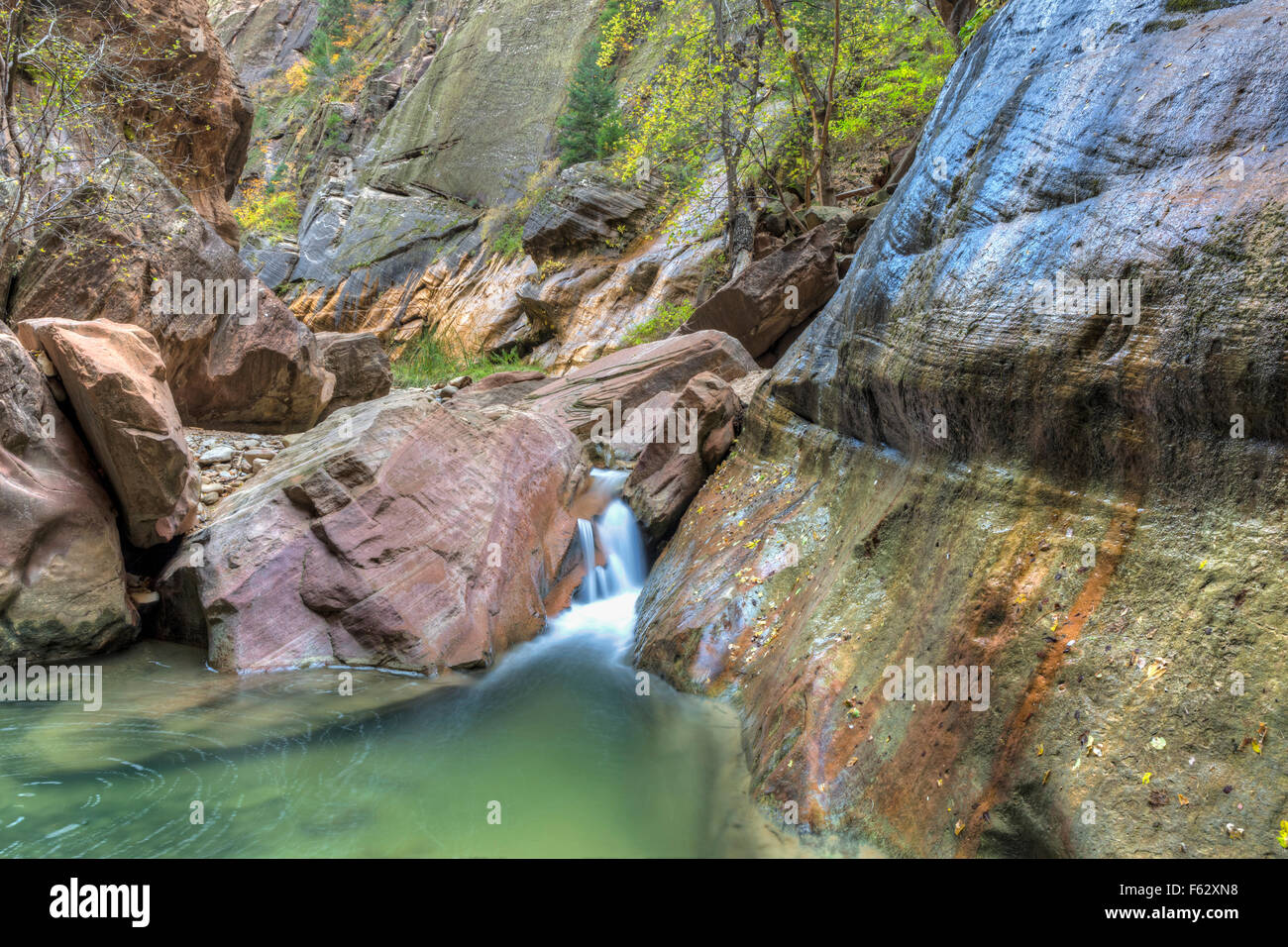A small falls and a green pool in Orderville Canyon just upstream from ...