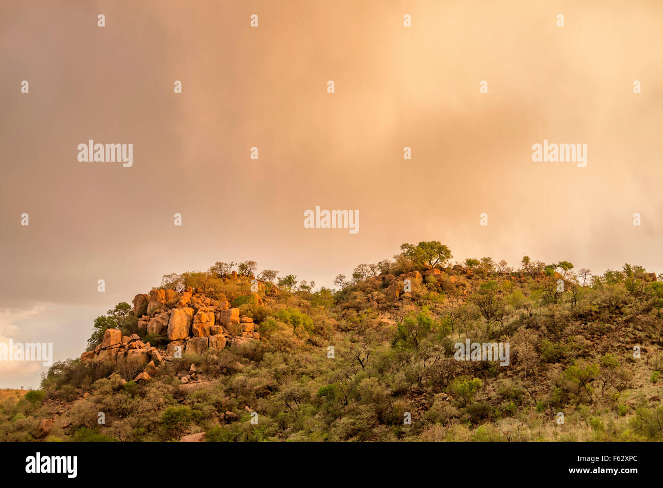 African Rocky Hill Stock Photo - Alamy