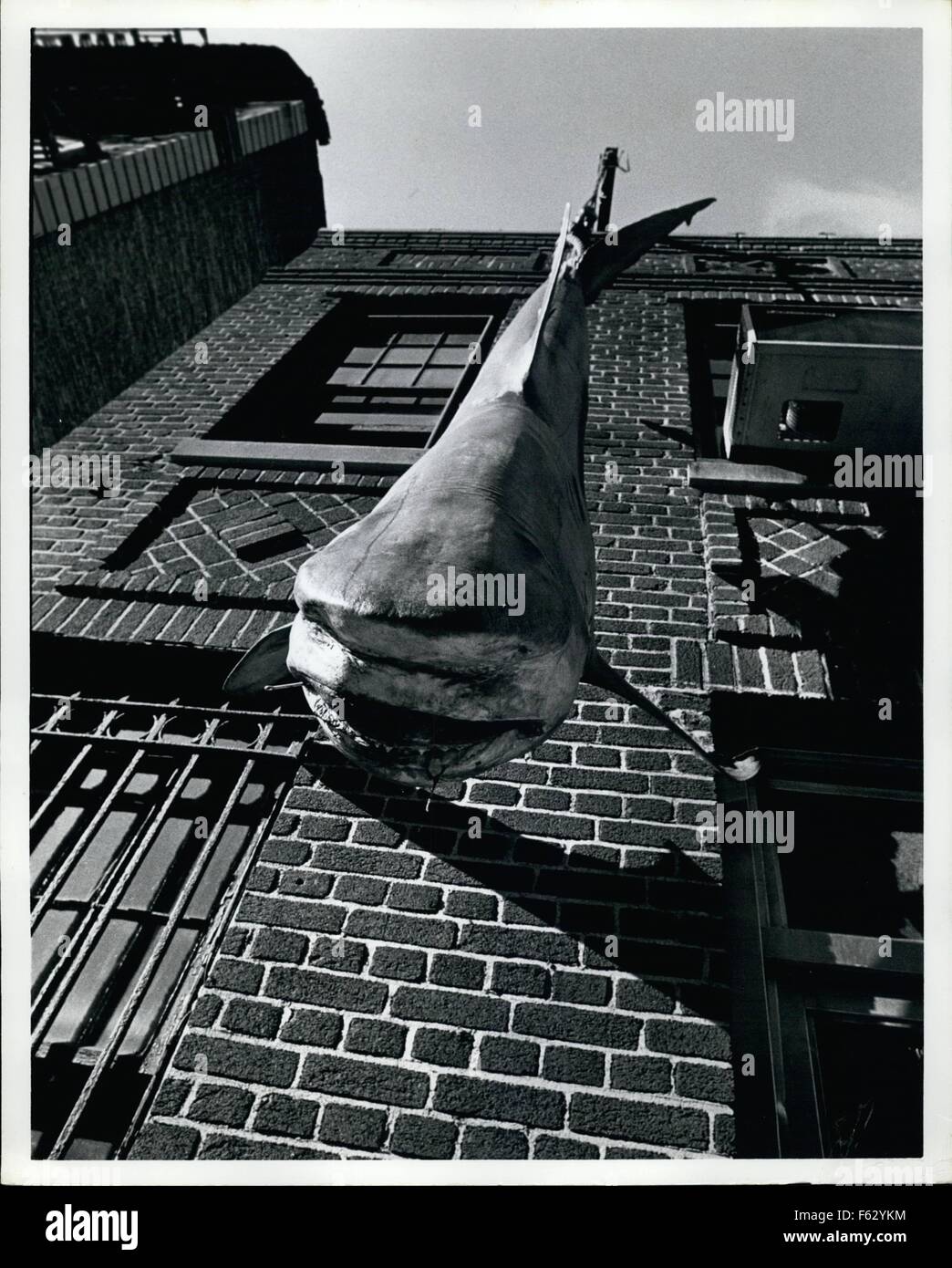 1968 - shark pub bar hangs brick wall jaws © Keystone Pictures USA ...
