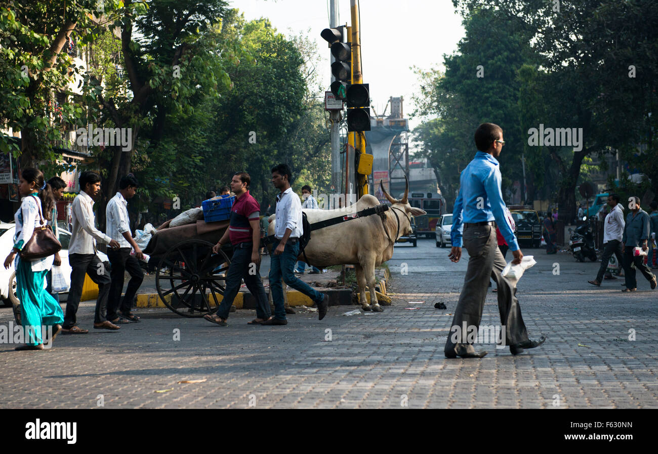 Daily life in the streets of Mumbai Stock Photo - Alamy