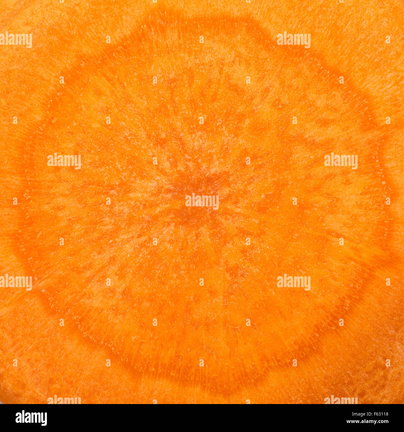 Carrot plant cross section hi-res stock photography and images - Alamy