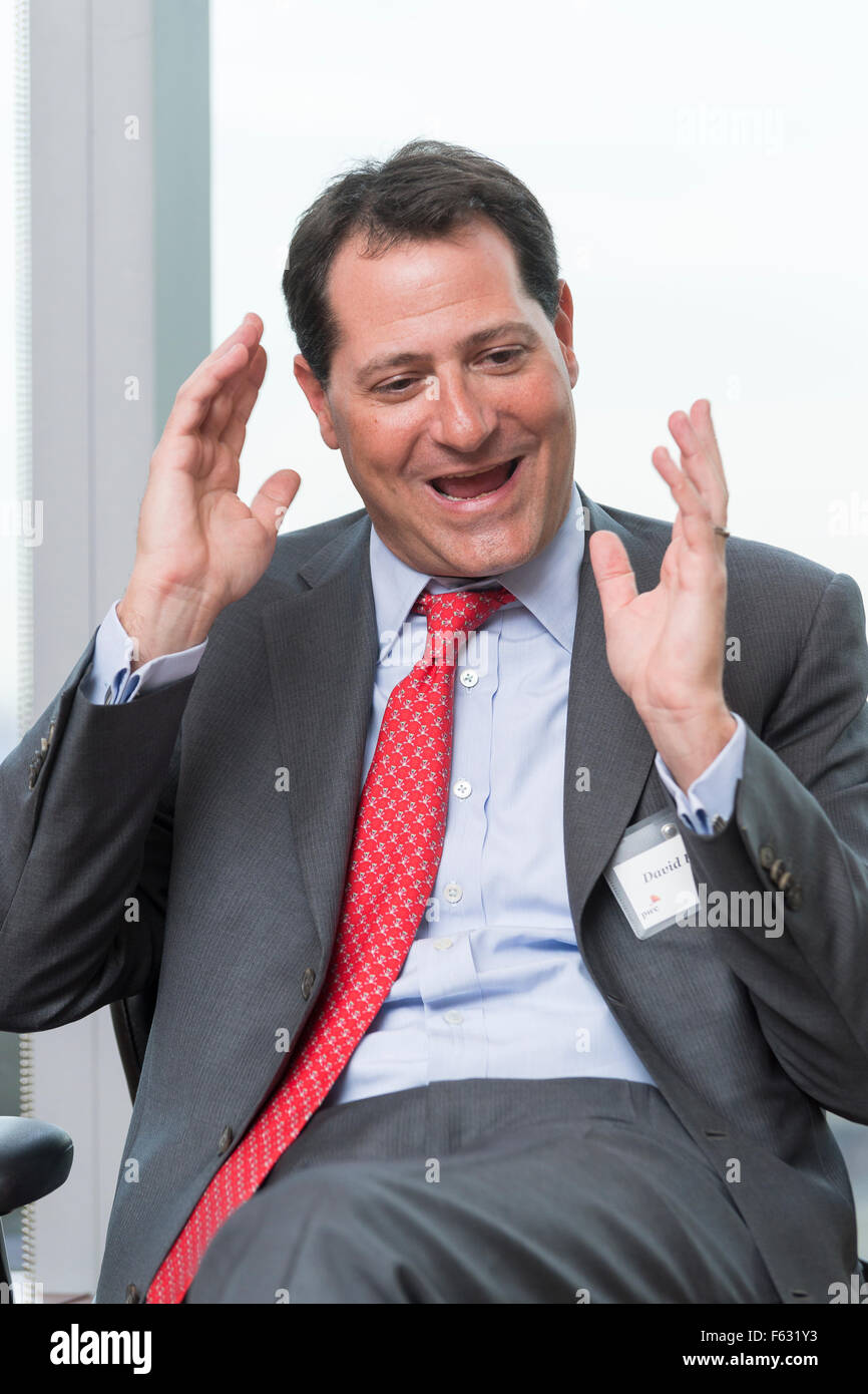 Mr. David Scott Blitzer serves as Senior Managing Director and Head of ...