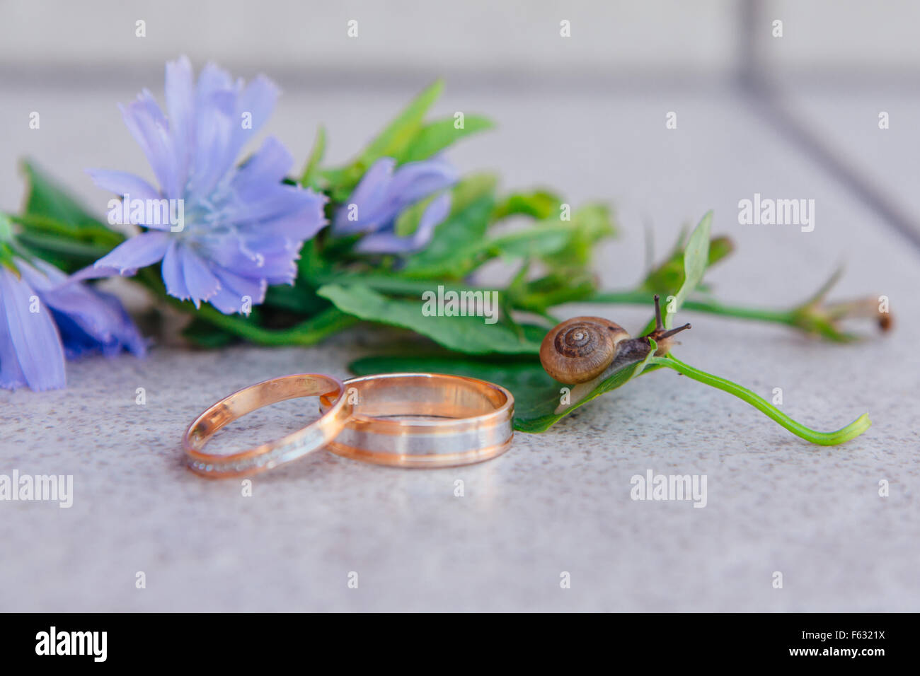wedding rings with snail on the leaves and blue flowers Stock Photo - Alamy