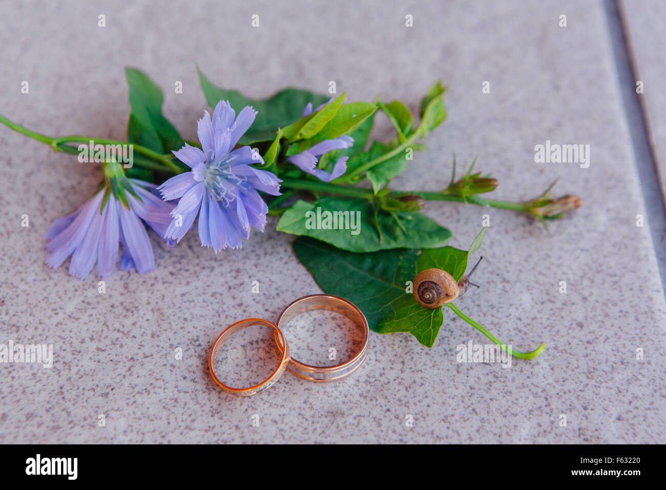 wedding rings with snail on the leaves and blue flowers Stock Photo - Alamy