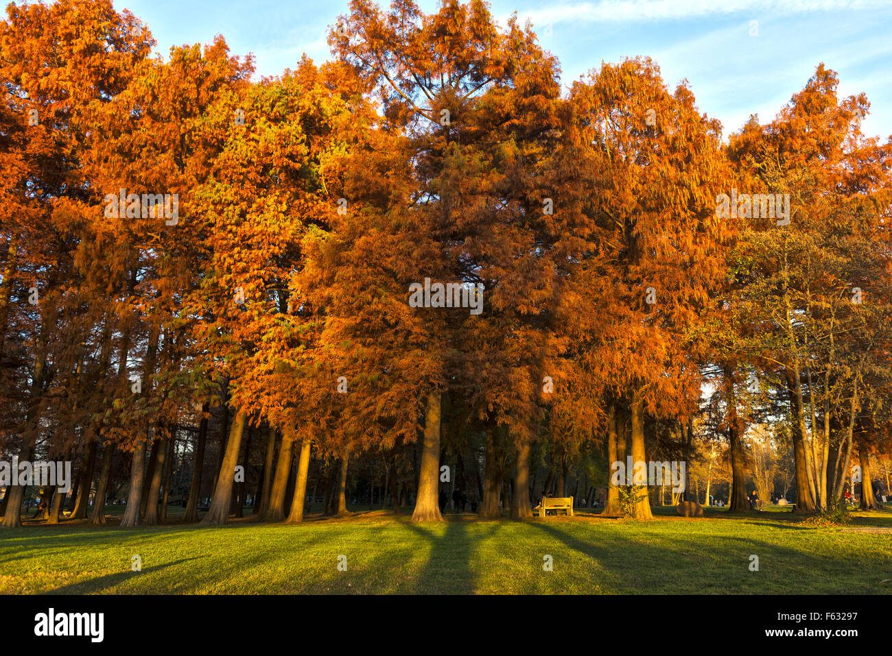 Colors of the sunset hi-res stock photography and images - Alamy