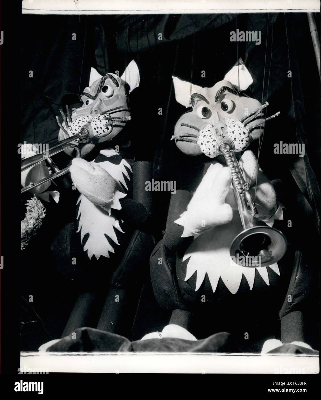 Cats playing instruments hi-res stock photography and images - Alamy