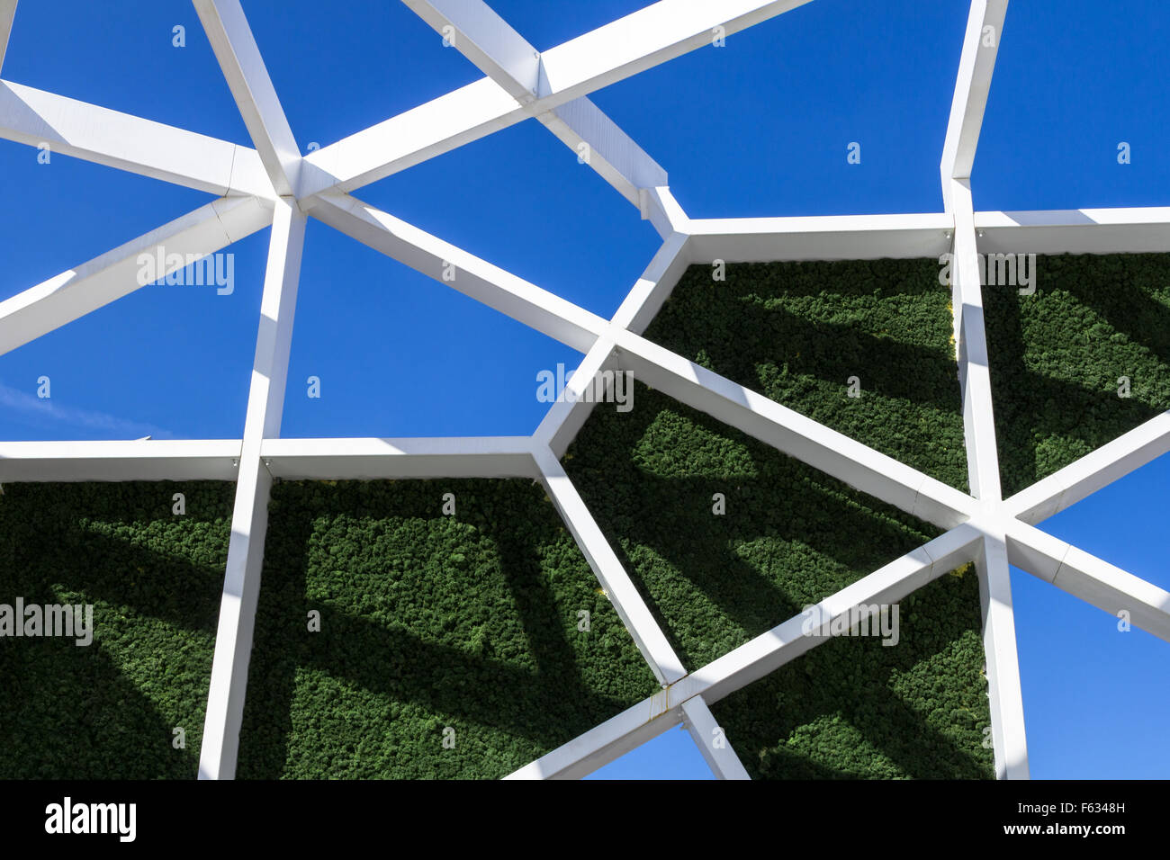 Detail of honeycomb structure of a building with grafts of vertical ...