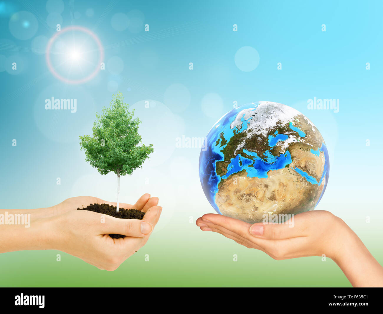 Womans hands with green tree and Earth Stock Photo - Alamy
