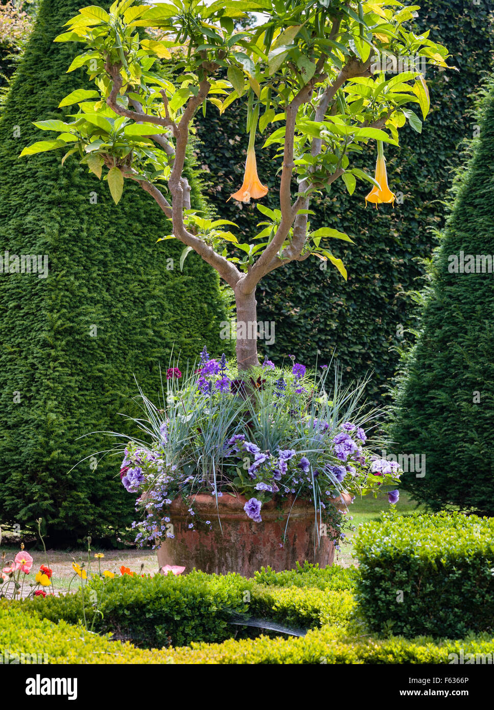 East Ruston Old Vicarage gardens, Norwich, Norfolk, UK. The King's Walk ...