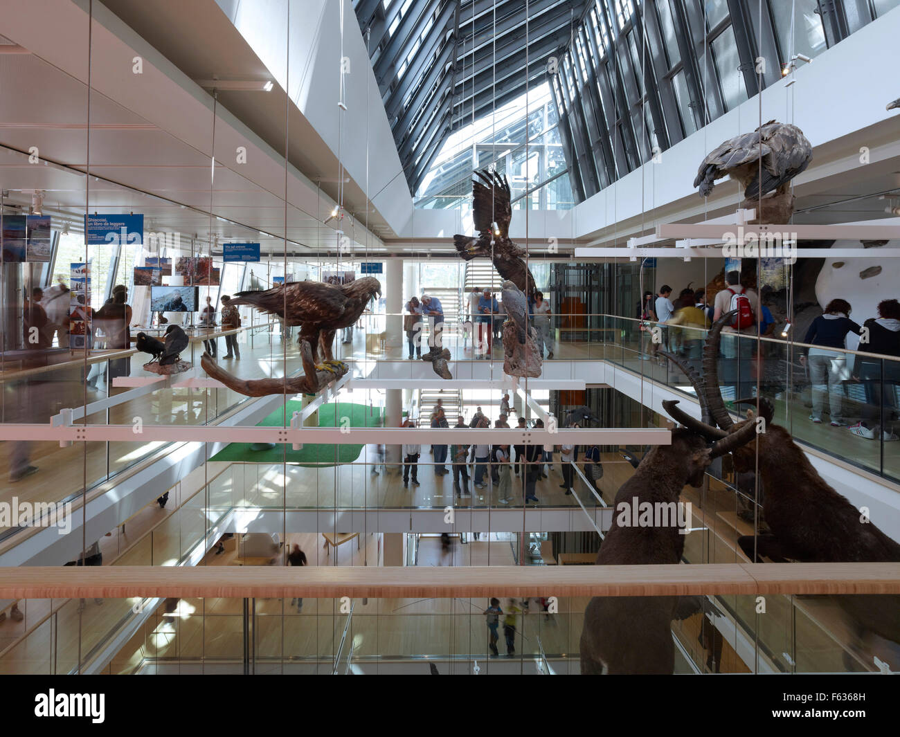 Full-height atrium with taxidermied animals and visitors. MUSE Science ...