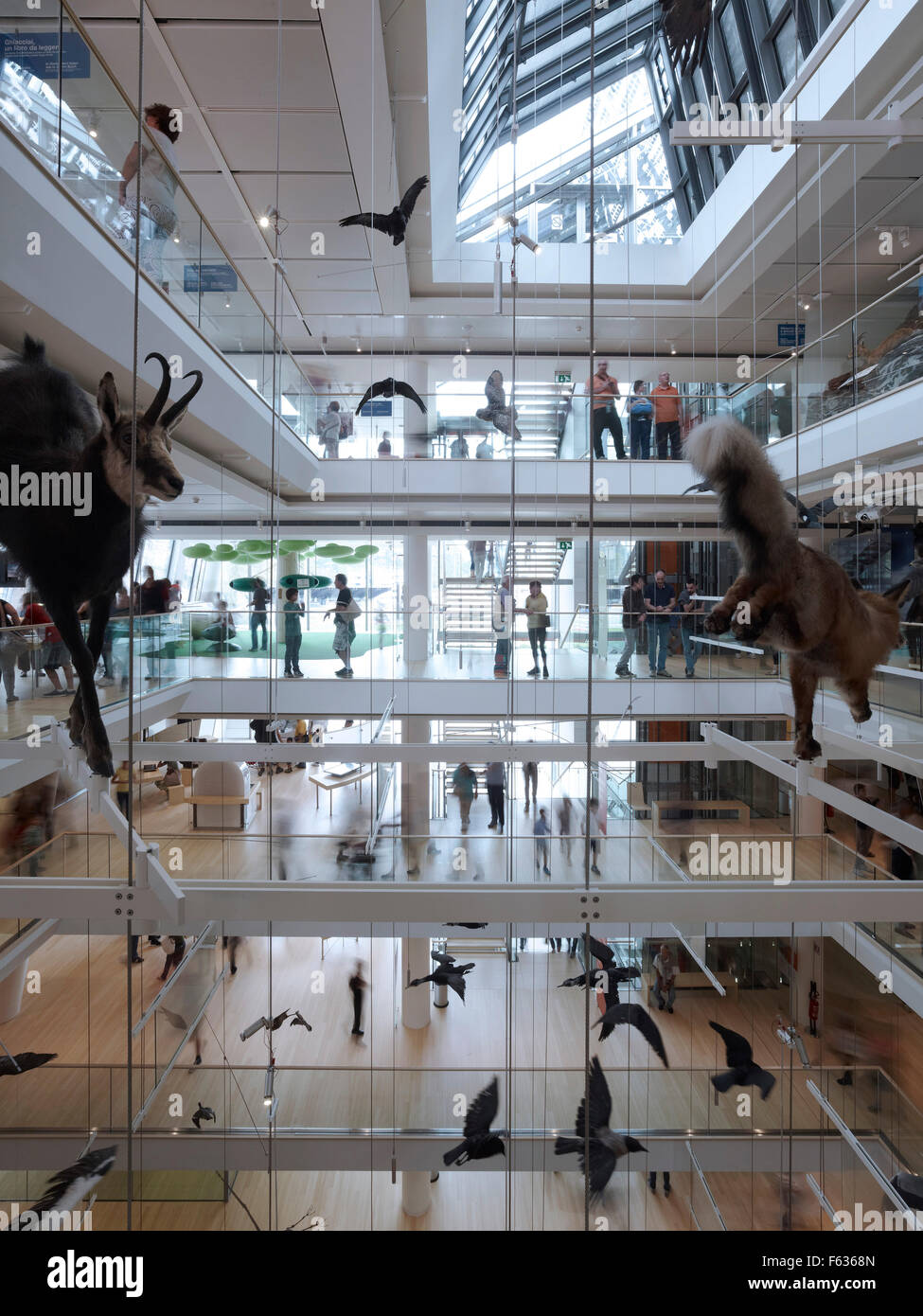 Full-height atrium galleries with taxidermied animals and visitors ...
