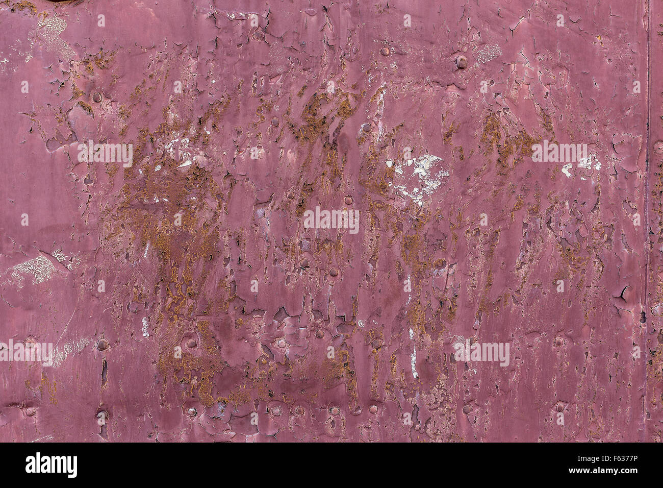 Metal rivet texture hi-res stock photography and images - Alamy