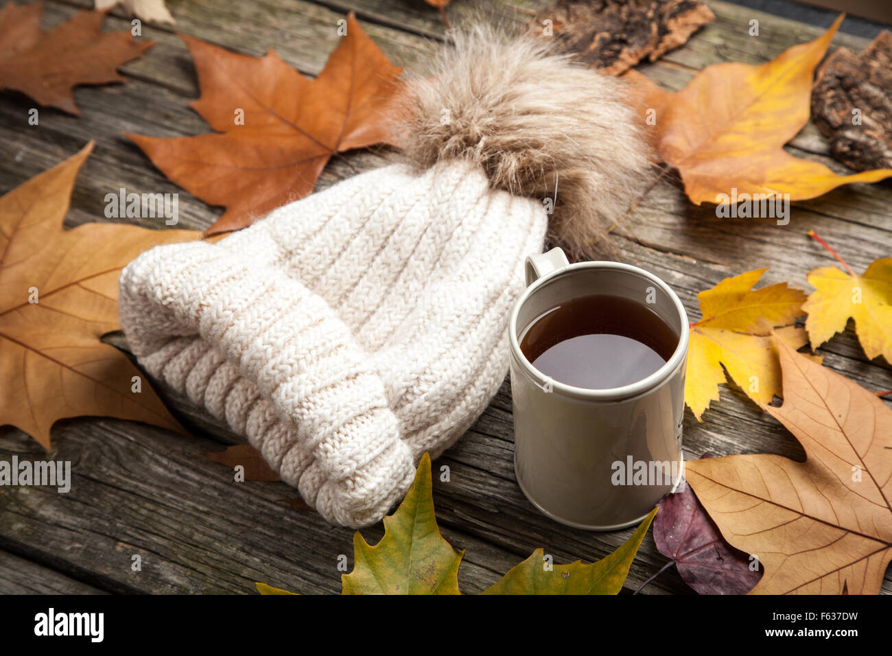 Tea cosy hat hi-res stock photography and images - Alamy