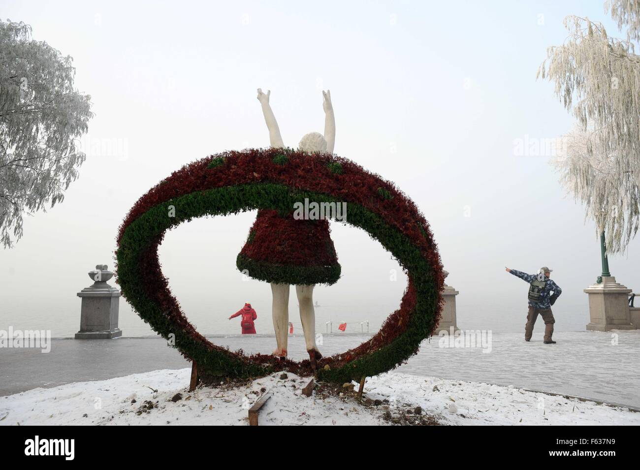 Harbin, China's Heilongjiang Province. 11th Nov, 2015. Visitors stand ...