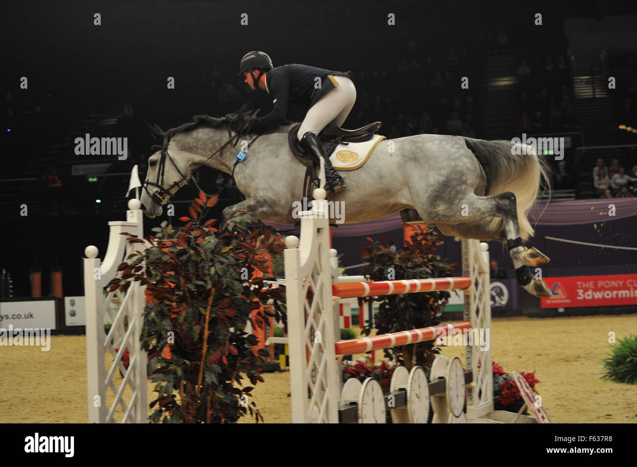 Horse of the Year Show 2015 at Birmingham's NEC Featuring: ZIRA II ...
