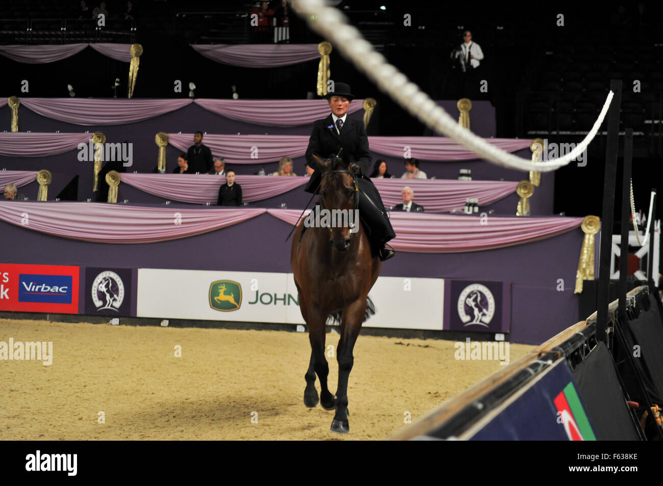 Horse of the Year Show 2015 - Day 2 Featuring: TUDOR MINSTRAL, Ms Jenna ...
