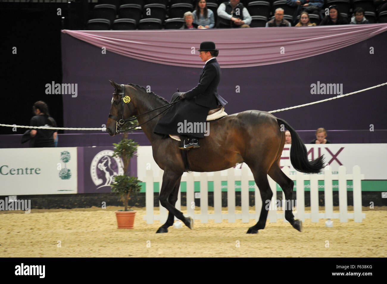 Horse of the Year Show 2015 - Day 2 Featuring: TUDOR MINSTRAL, Ms Jenna ...