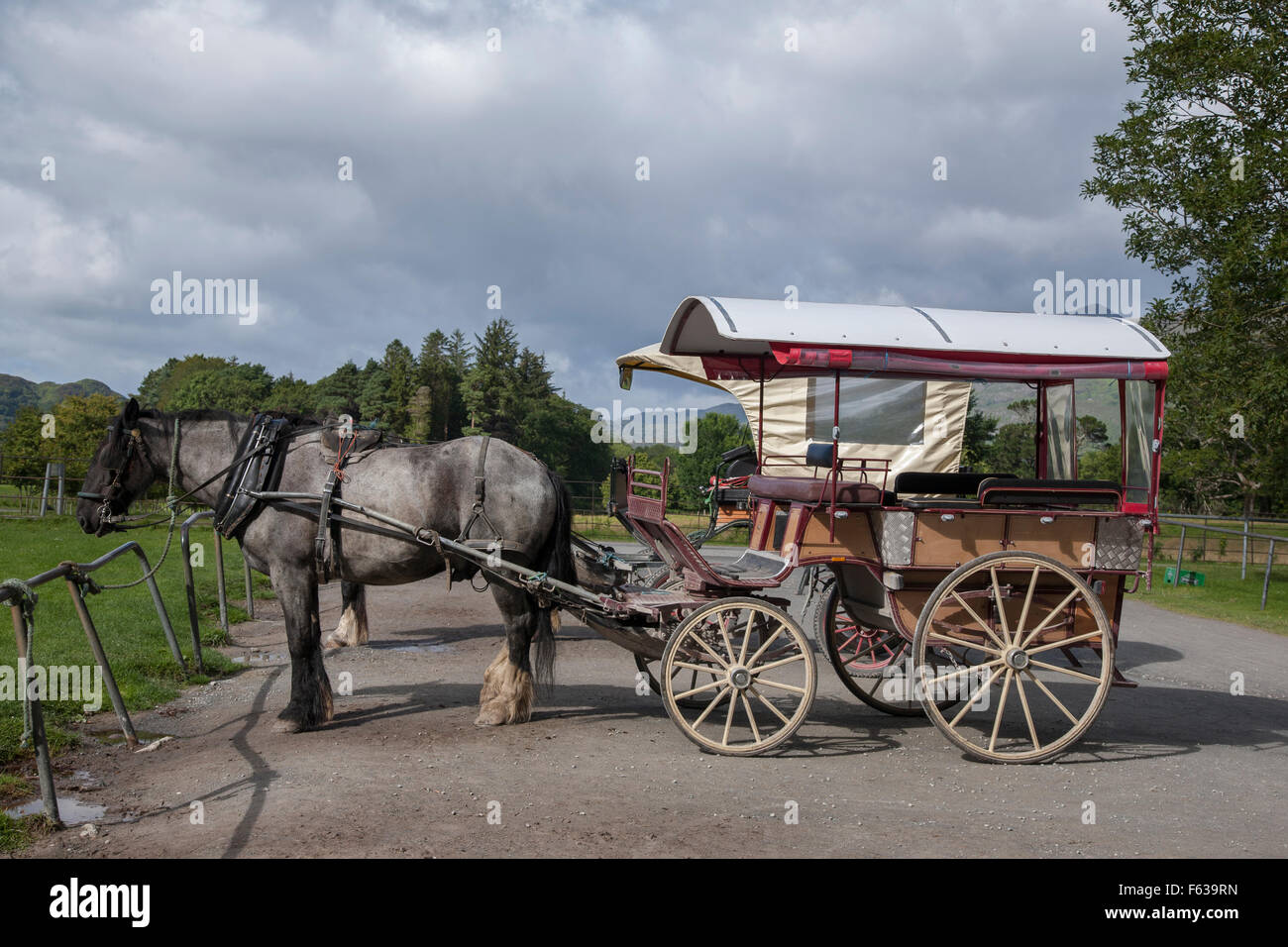 Horse And Cart Ireland High Resolution Stock Photography and Images - Alamy
