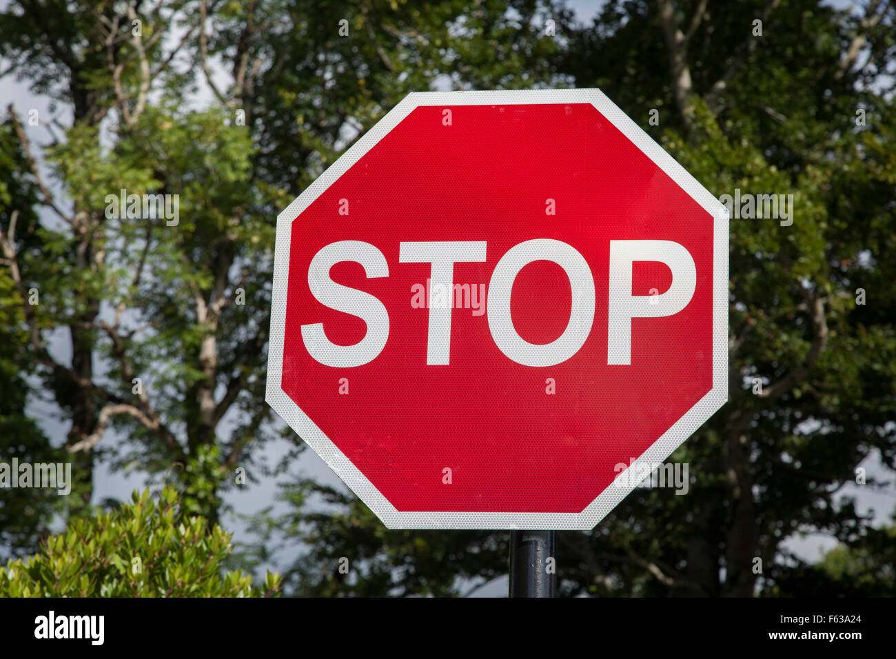 Red and White Stop Traffic Sign Stock Photo - Alamy