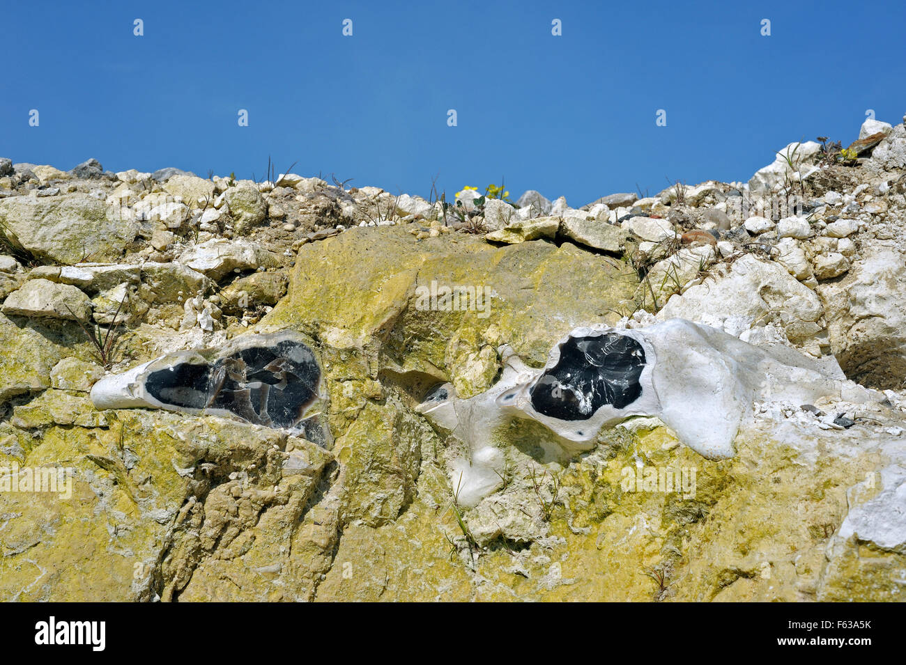 Flint / chert / silex in topsoil of chalk cliff Stock Photo - Alamy