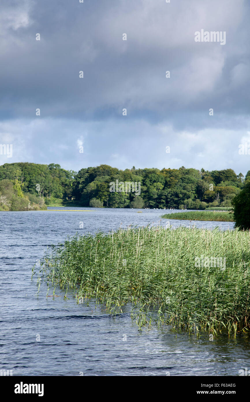 Lough Leane Lake, Killarney National Park, County Kerry; Ireland Stock ...
