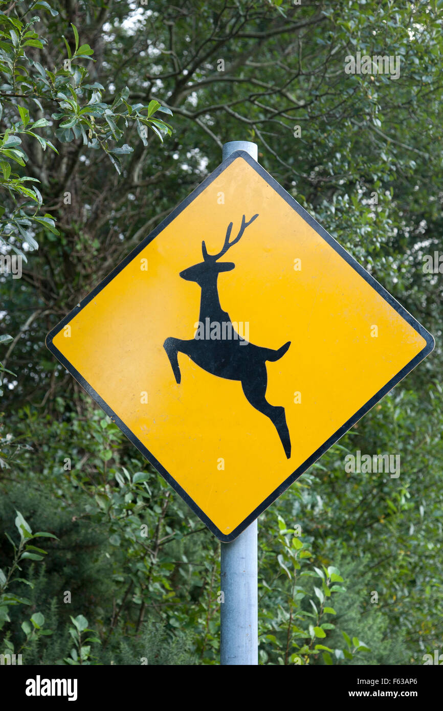 Yellow Diamond Shaped Deer Sign Stock Photo - Alamy