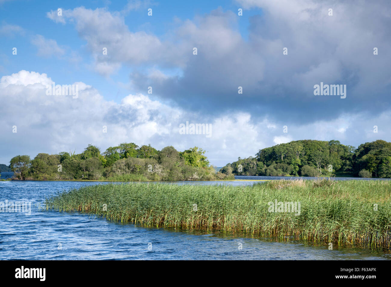 Lough Leane Lake, Killarney National Park, County Kerry; Ireland Stock ...