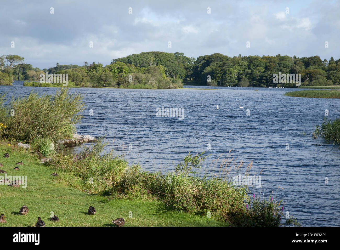 Lough Leane Lake, Killarney National Park, County Kerry; Ireland Stock ...