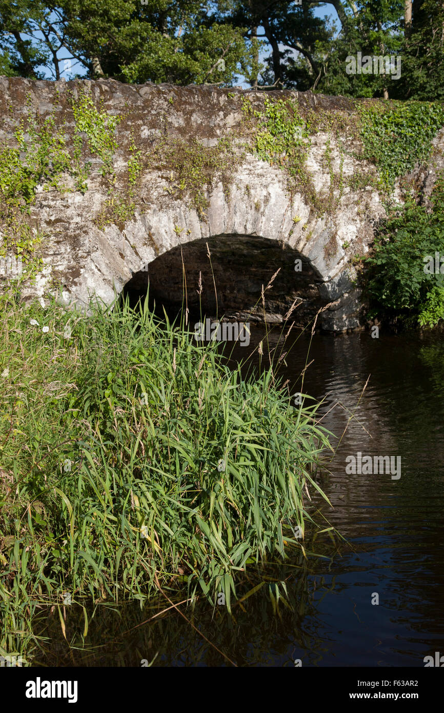 Stone Bridge in Killarney National Park, County Kerry; Ireland Stock ...