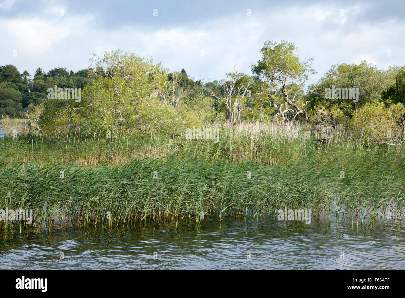 Lough Leane Lake, Killarney National Park, County Kerry; Ireland Stock ...