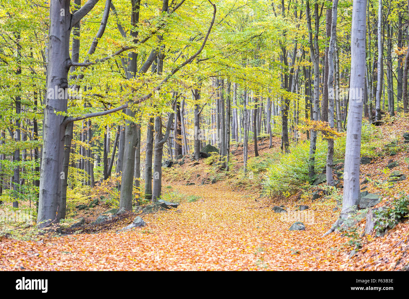 Sleza mount hi-res stock photography and images - Alamy