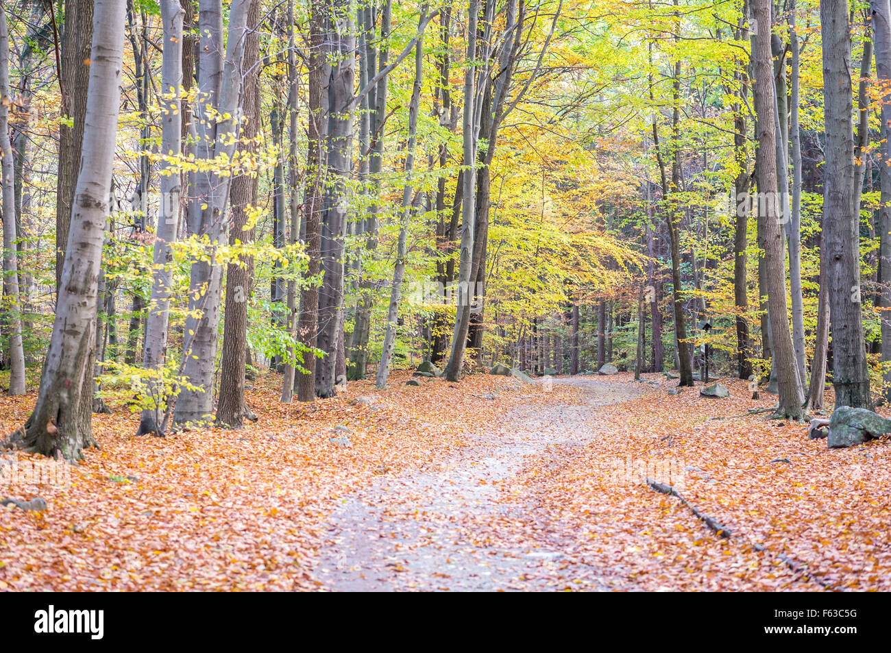 Sleza mount hi-res stock photography and images - Alamy