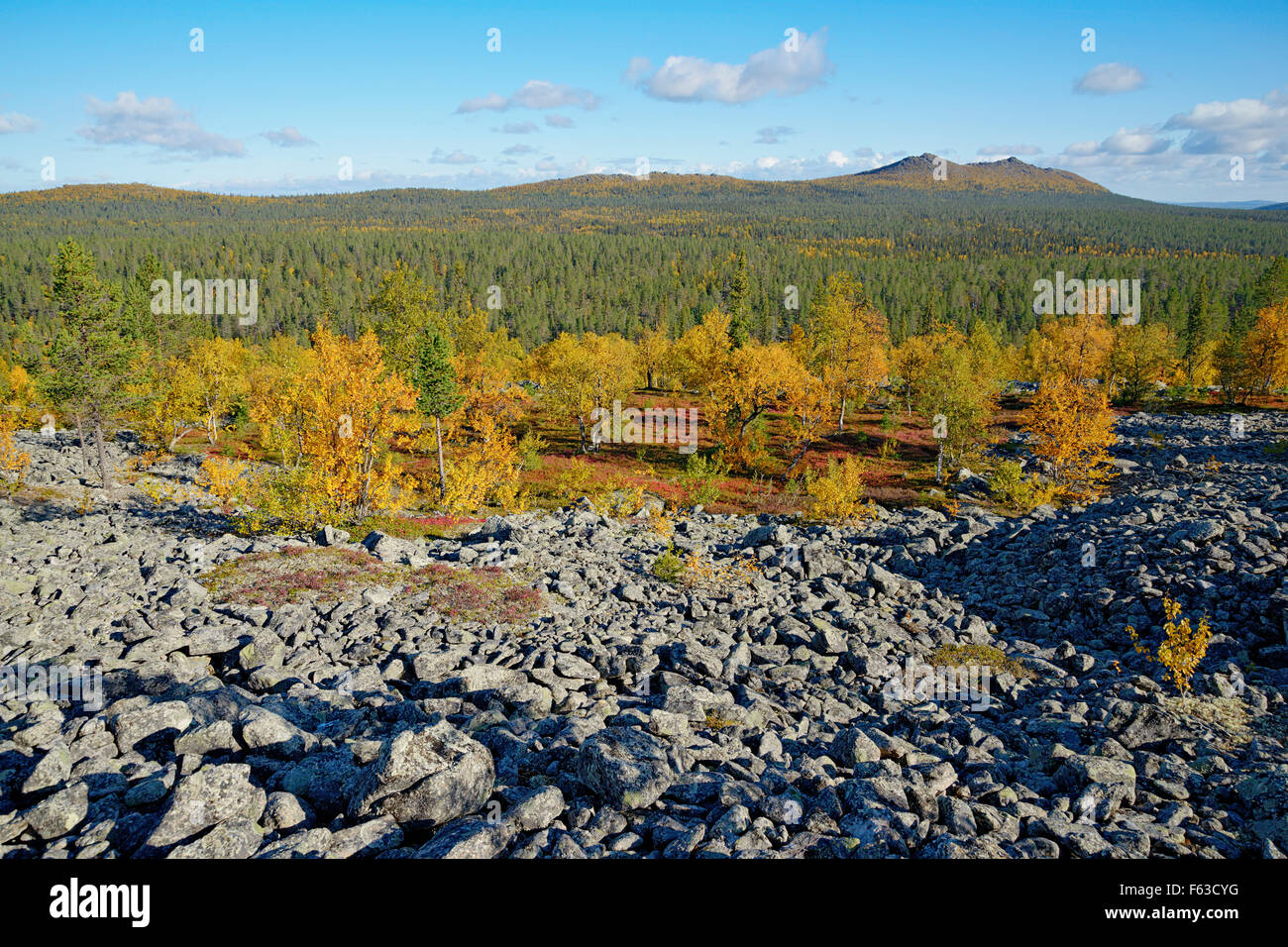 Autumn colors in early September. Korvatunturi fell on the border of ...