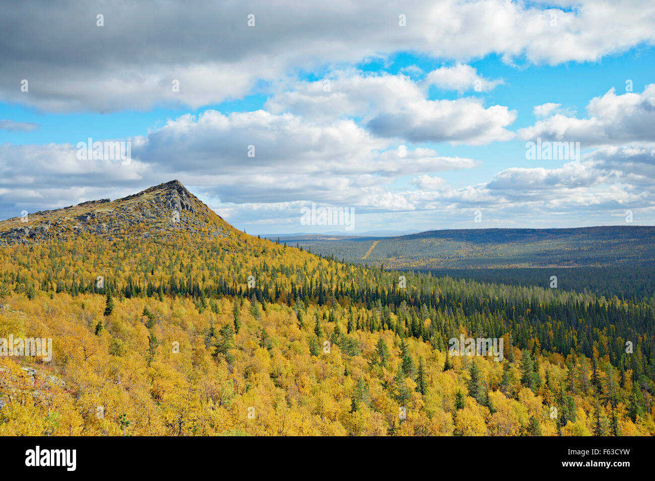 Autumn colors in early September. Korvatunturi fell on the border of ...